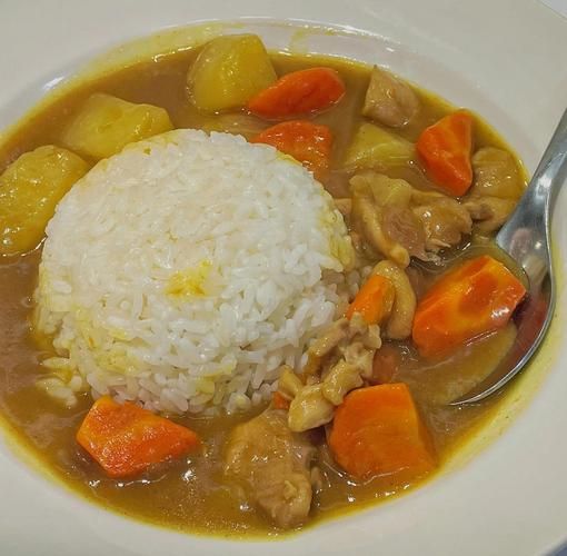 鸡肉土豆咖喱饭怎么做_咖喱饭用什么咖喱块-第1张图片-山城妙识