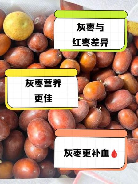 红枣和灰枣哪个好_灰枣和红枣的区别-第2张图片-山城妙识