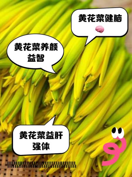 鲜黄花菜怎么焯水去毒_鲜黄花菜的做法大全-第2张图片-山城妙识