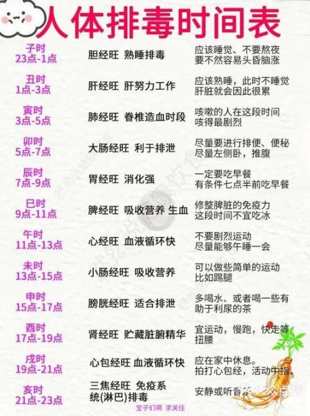 身体排毒最有效的方法_如何科学排毒-第3张图片-山城妙识