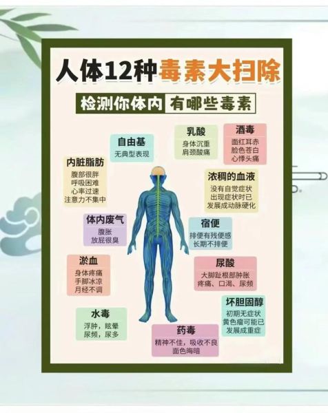 身体排毒最有效的方法_如何科学排毒-第1张图片-山城妙识