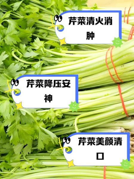 芹菜的功效与作用_芹菜怎么吃最健康-第2张图片-山城妙识