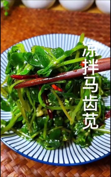 马齿苋怎么做好吃_马齿苋凉拌做法-第1张图片-山城妙识