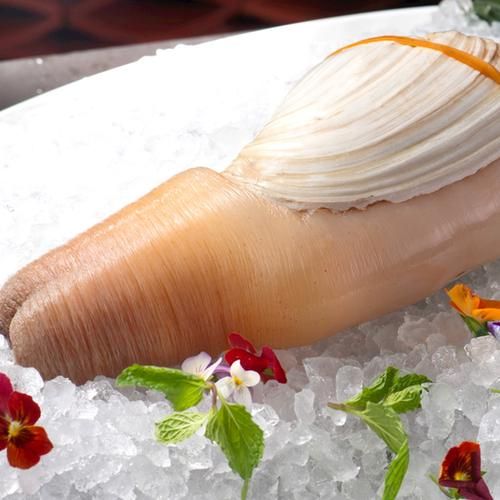 象拔蚌是什么意思_象拔蚌网络梗由来-第2张图片-山城妙识