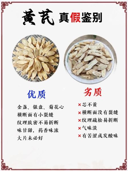 野生黄芪长什么样_野生黄芪图片大全怎么鉴别真假-第1张图片-山城妙识