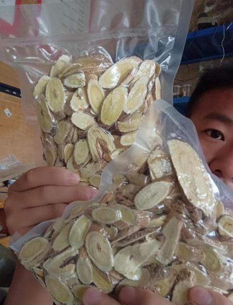 野生黄芪长什么样_野生黄芪图片大全怎么鉴别真假-第3张图片-山城妙识