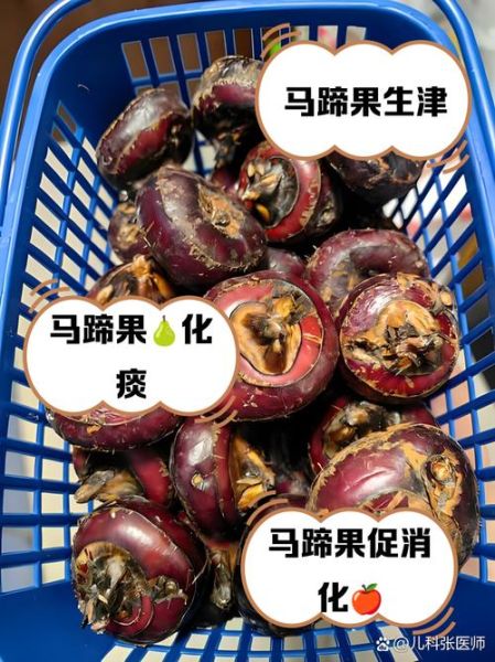 马蹄果的功效与作用_马蹄果怎么吃最好-第1张图片-山城妙识