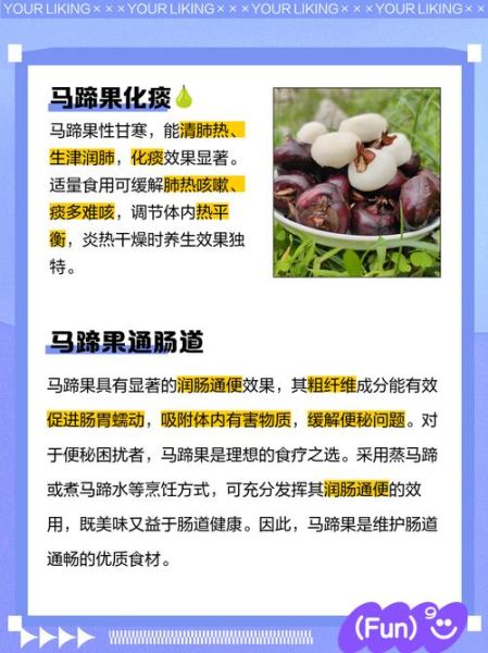 马蹄果的功效与作用_马蹄果怎么吃最好-第3张图片-山城妙识