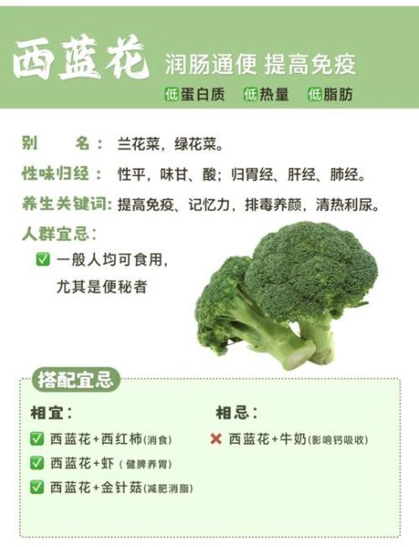 西兰花和胡萝卜可以一起吃吗_西兰花功效与作用禁忌有哪些-第1张图片-山城妙识 西兰花和胡萝卜可以一起吃吗_西兰花功效与作用禁忌有哪些-第1张图片-山城妙识