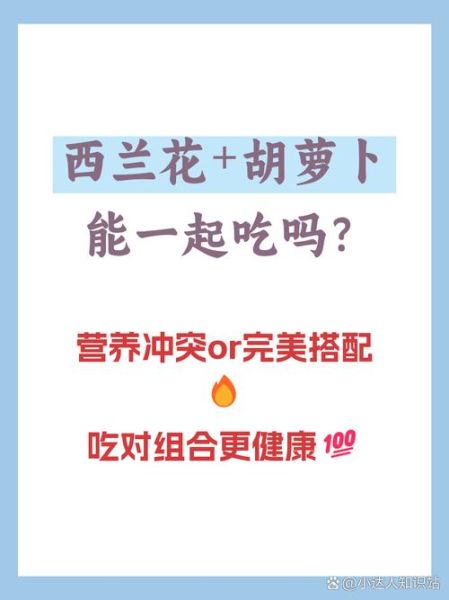 西兰花和胡萝卜可以一起吃吗_西兰花功效与作用禁忌有哪些-第2张图片-山城妙识 西兰花和胡萝卜可以一起吃吗_西兰花功效与作用禁忌有哪些-第2张图片-山城妙识