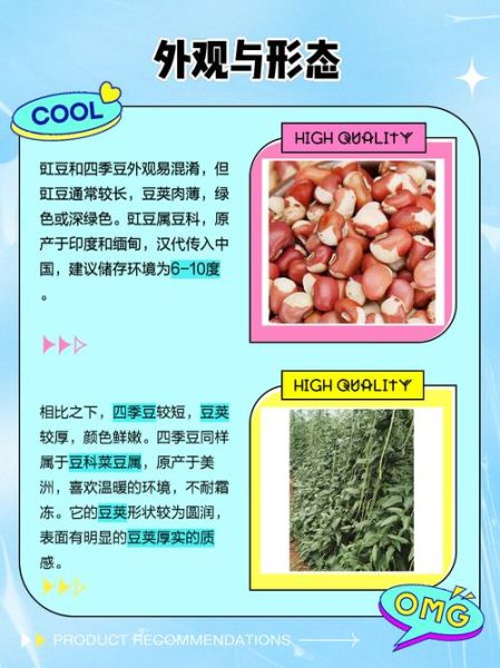 豇豆怎么念_豇豆和豆角的区别-第1张图片-山城妙识