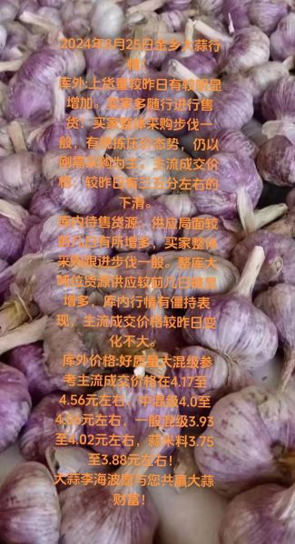 金乡大蒜最新价格_今日多少钱一斤-第1张图片-山城妙识
