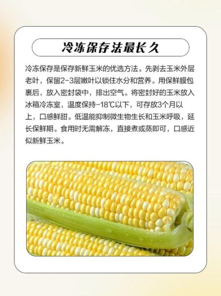 鲜玉米怎么保存_鲜玉米能放多久-第2张图片-山城妙识