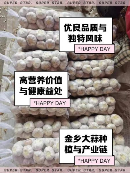 金乡大蒜最新价格_今日多少钱一斤-第3张图片-山城妙识