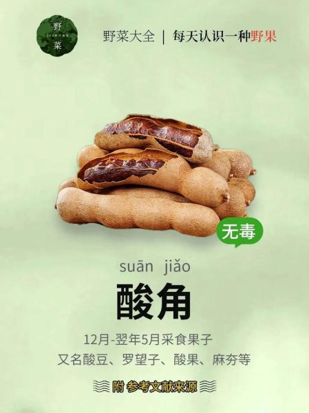 酸角的功效与禁忌_孕妇能吃酸角吗-第1张图片-山城妙识