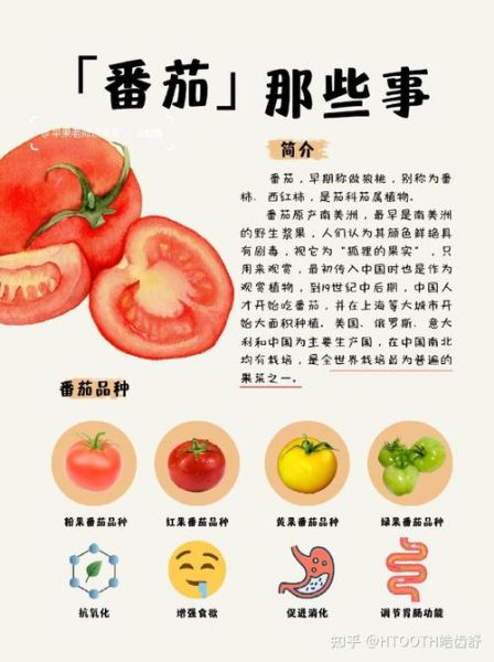 西红柿生吃有什么好处_西红柿生吃能减肥吗-第3张图片-山城妙识