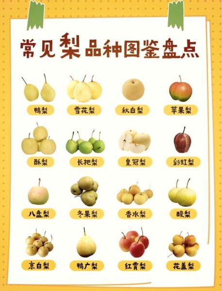 十大名梨有哪些_哪里的梨最甜最好吃-第1张图片-山城妙识