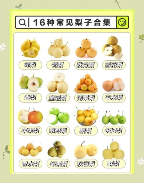 十大名梨有哪些_哪里的梨最甜最好吃-第3张图片-山城妙识