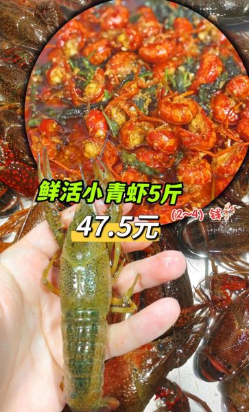 青岛大龙虾多少钱一斤_青岛大龙虾价格行情-第2张图片-山城妙识