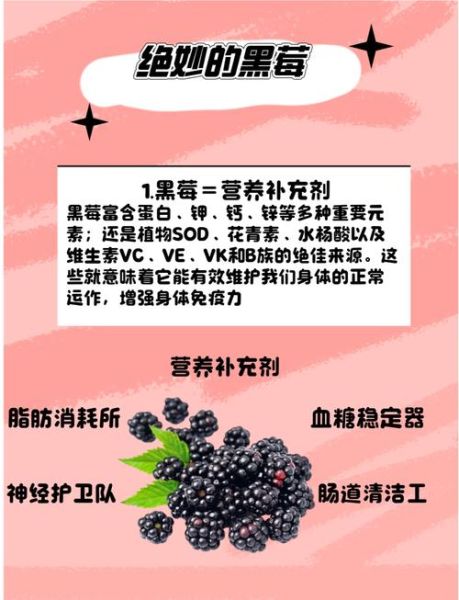 黑莓的功效与作用_黑莓怎么吃最好-第1张图片-山城妙识 黑莓的功效与作用_黑莓怎么吃最好-第1张图片-山城妙识