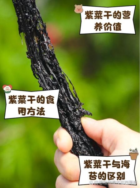 紫菜需要洗吗_干紫菜怎么清洗才干净-第1张图片-山城妙识