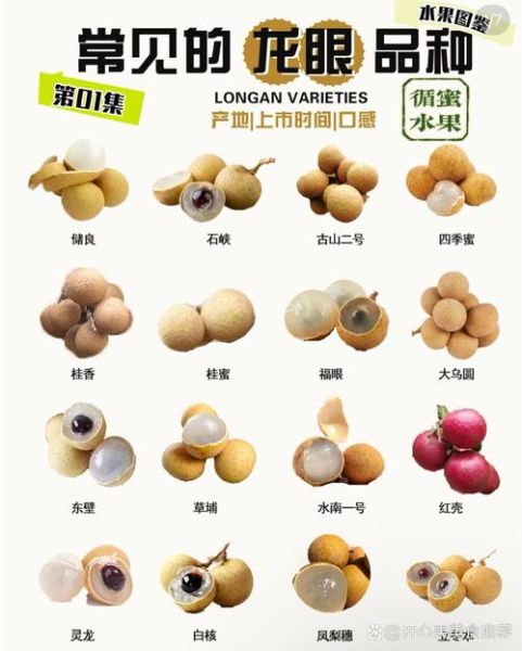 龙眼品种有哪些_龙眼哪个品种最甜-第1张图片-山城妙识
