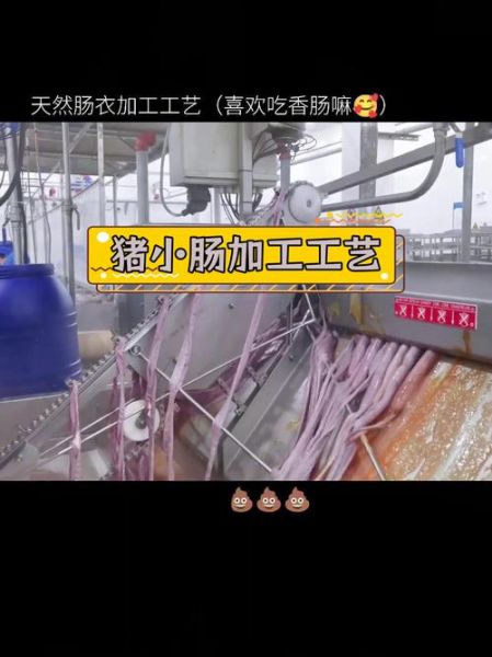 肠衣是怎么做出来的_天然肠衣加工流程-第1张图片-山城妙识 肠衣是怎么做出来的_天然肠衣加工流程-第1张图片-山城妙识