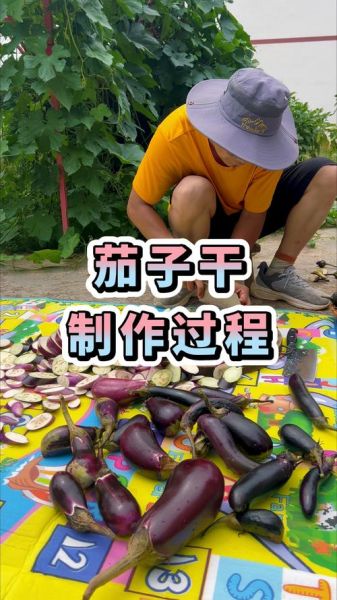 茄子干怎么晾晒_茄子干晾晒多久-第2张图片-山城妙识