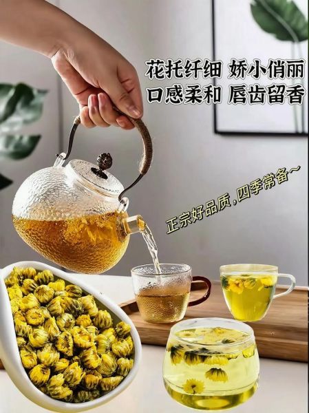 菊花茶什么牌子正宗_哪个品牌最靠谱-第3张图片-山城妙识