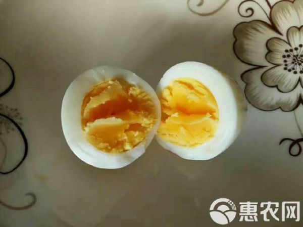 贵妃鸡蛋的营养价值_贵妃鸡蛋和普通鸡蛋区别-第3张图片-山城妙识