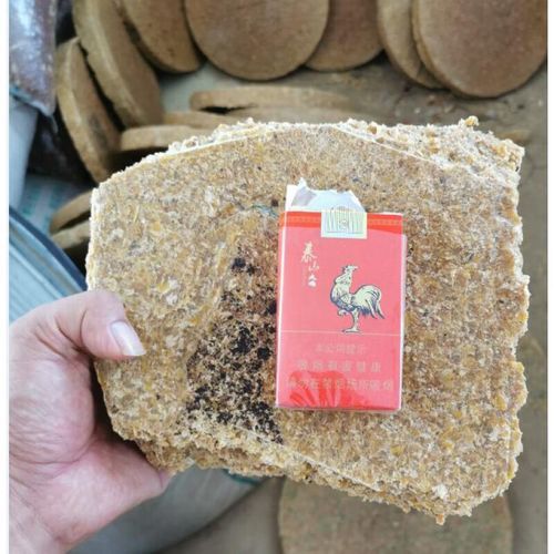 豆饼钓鱼最佳用法_豆饼打窝多久发窝-第1张图片-山城妙识 豆饼钓鱼最佳用法_豆饼打窝多久发窝-第1张图片-山城妙识