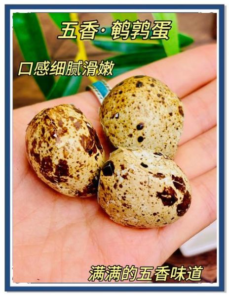 鹌鹑蛋补肾壮阳吗_鹌鹑蛋壮阳效果怎么样-第2张图片-山城妙识 鹌鹑蛋补肾壮阳吗_鹌鹑蛋壮阳效果怎么样-第2张图片-山城妙识
