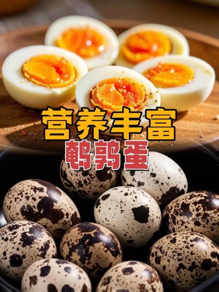 鹌鹑蛋补肾壮阳吗_鹌鹑蛋壮阳效果怎么样-第3张图片-山城妙识 鹌鹑蛋补肾壮阳吗_鹌鹑蛋壮阳效果怎么样-第3张图片-山城妙识