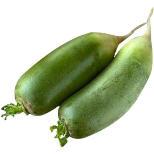 绿萝卜怎么保存时间长_绿萝卜和白萝卜区别-第1张图片-山城妙识 绿萝卜怎么保存时间长_绿萝卜和白萝卜区别-第1张图片-山城妙识