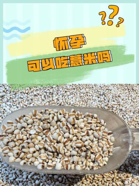 薏仁米孕妇可以吃吗_孕期吃薏仁米的风险-第2张图片-山城妙识
