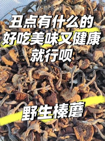 松蘑炖鸡和榛蘑炖鸡哪个好吃_口感区别在哪-第1张图片-山城妙识