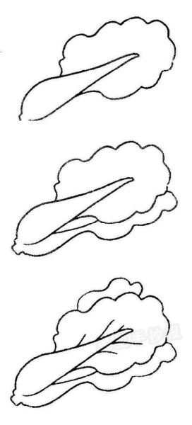 青菜图片大全大图简笔画_怎么画简单又好看-第3张图片-山城妙识 青菜图片大全大图简笔画_怎么画简单又好看-第3张图片-山城妙识