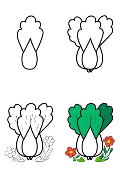 青菜图片大全大图简笔画_怎么画简单又好看-第1张图片-山城妙识 青菜图片大全大图简笔画_怎么画简单又好看-第1张图片-山城妙识