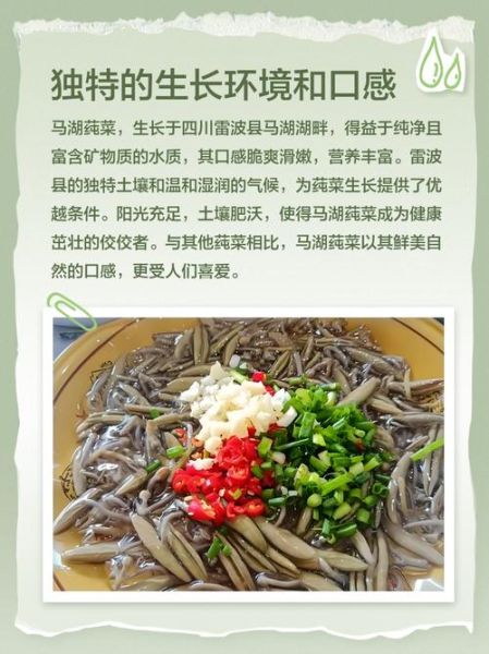 莼怎么读_莼菜发音详解-第1张图片-山城妙识