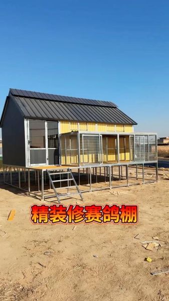 鸽子养殖大棚价格_多少钱一平米-第2张图片-山城妙识