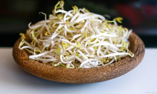 绿豆芽放了3天还能吃吗_吃了会中毒吗-第2张图片-山城妙识 绿豆芽放了3天还能吃吗_吃了会中毒吗-第2张图片-山城妙识