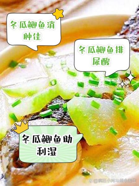 鲫鱼冬瓜汤烟雨江湖怎么做_鲫鱼冬瓜汤烟雨江湖配方-第1张图片-山城妙识