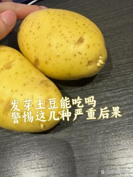 马铃薯发芽还能吃吗_如何安全处理发芽土豆-第3张图片-山城妙识