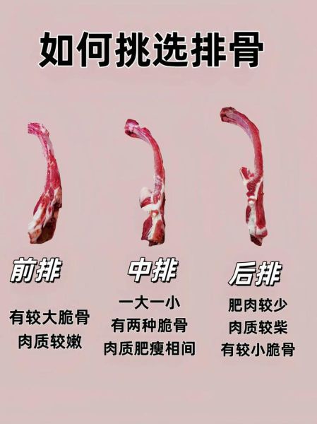 猪龙骨是什么_猪龙骨和排骨区别-第1张图片-山城妙识