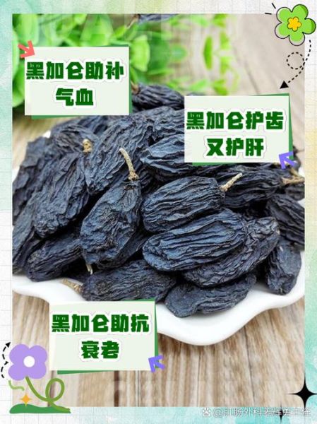黑葡萄干和黑加仑干哪个营养高_区别与选择-第1张图片-山城妙识