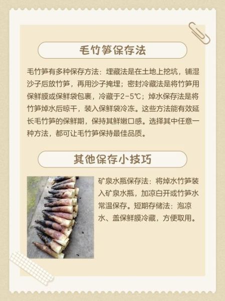 竹笋怎么保存_新鲜竹笋图片大全-第3张图片-山城妙识