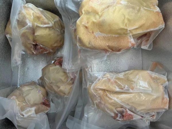 阉鸡怎么做才好吃_阉鸡和普通鸡的区别-第2张图片-山城妙识 阉鸡怎么做才好吃_阉鸡和普通鸡的区别-第2张图片-山城妙识