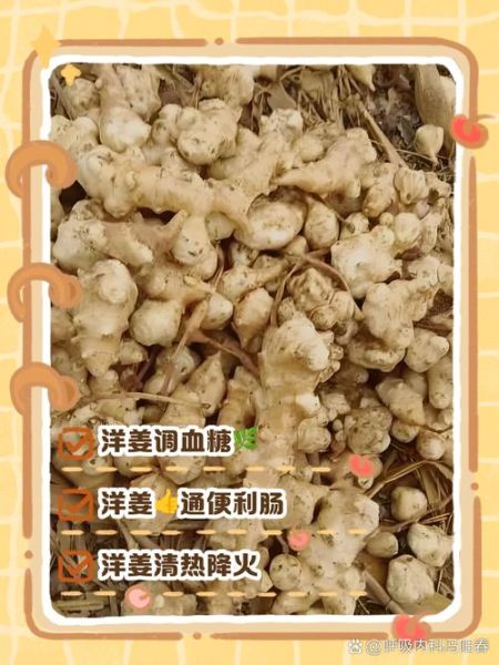 女人吃洋姜有什么好处_女人吃洋姜有什么坏处-第1张图片-山城妙识 女人吃洋姜有什么好处_女人吃洋姜有什么坏处-第1张图片-山城妙识