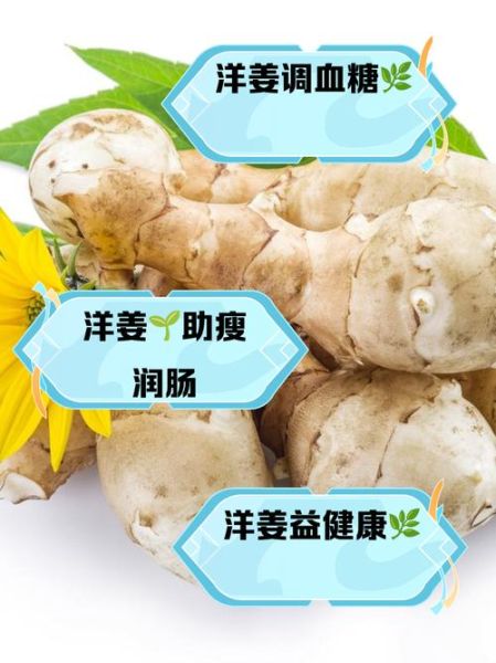 女人吃洋姜有什么好处_女人吃洋姜有什么坏处-第3张图片-山城妙识 女人吃洋姜有什么好处_女人吃洋姜有什么坏处-第3张图片-山城妙识