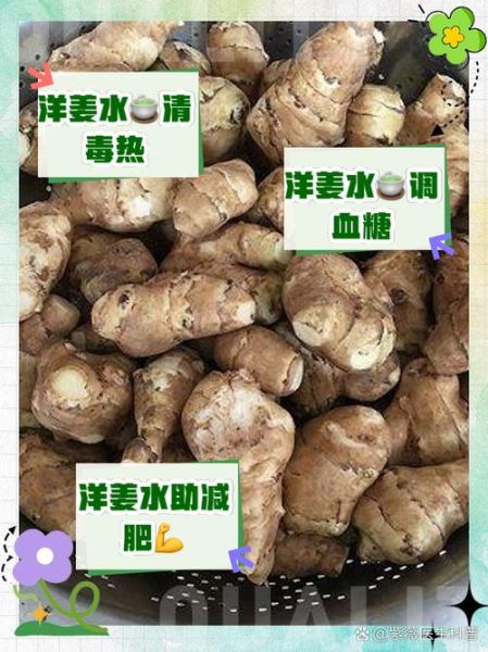 女人吃洋姜有什么好处_女人吃洋姜有什么坏处-第2张图片-山城妙识 女人吃洋姜有什么好处_女人吃洋姜有什么坏处-第2张图片-山城妙识